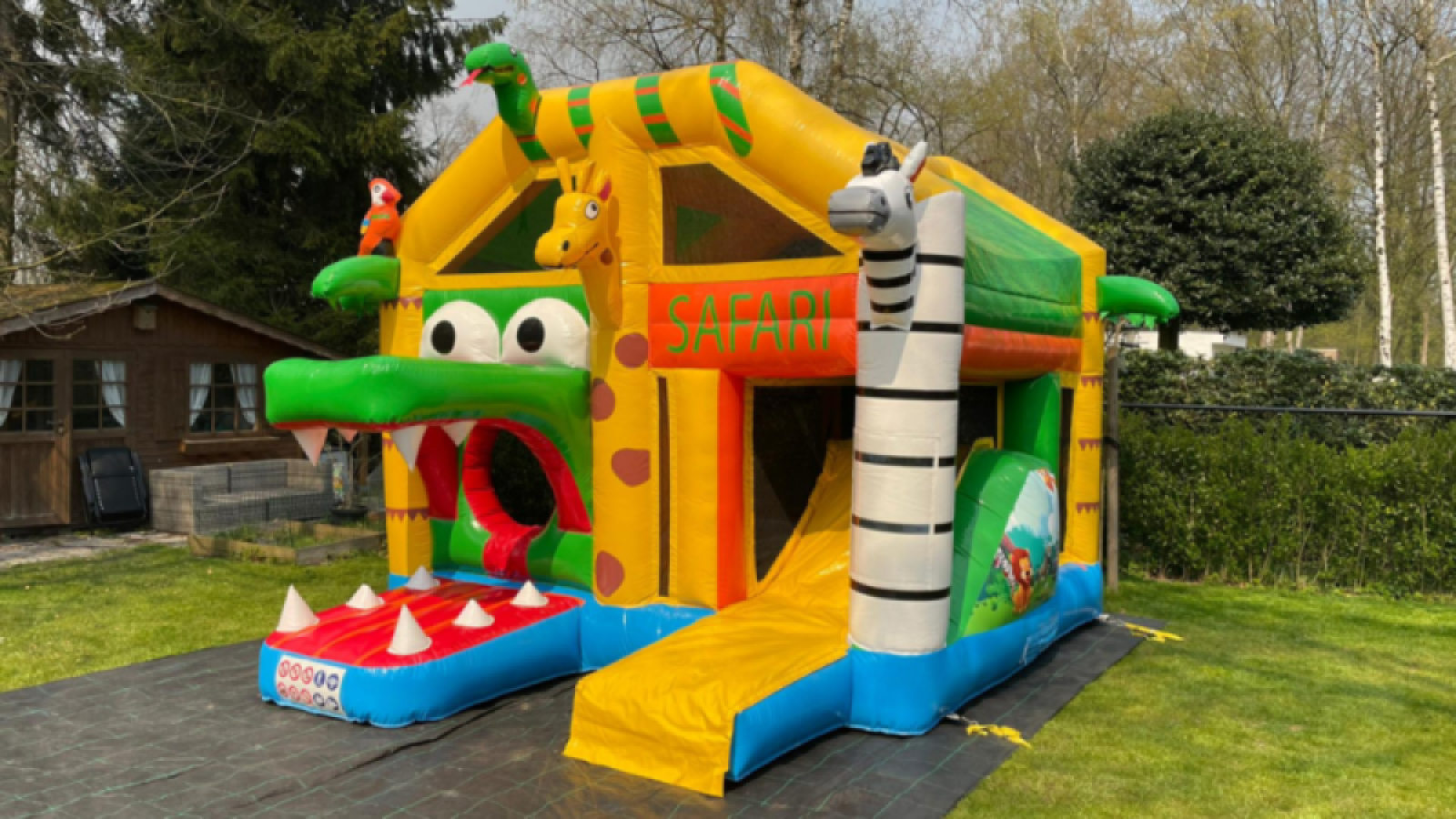 Combi Safari | Petra's Verhuur